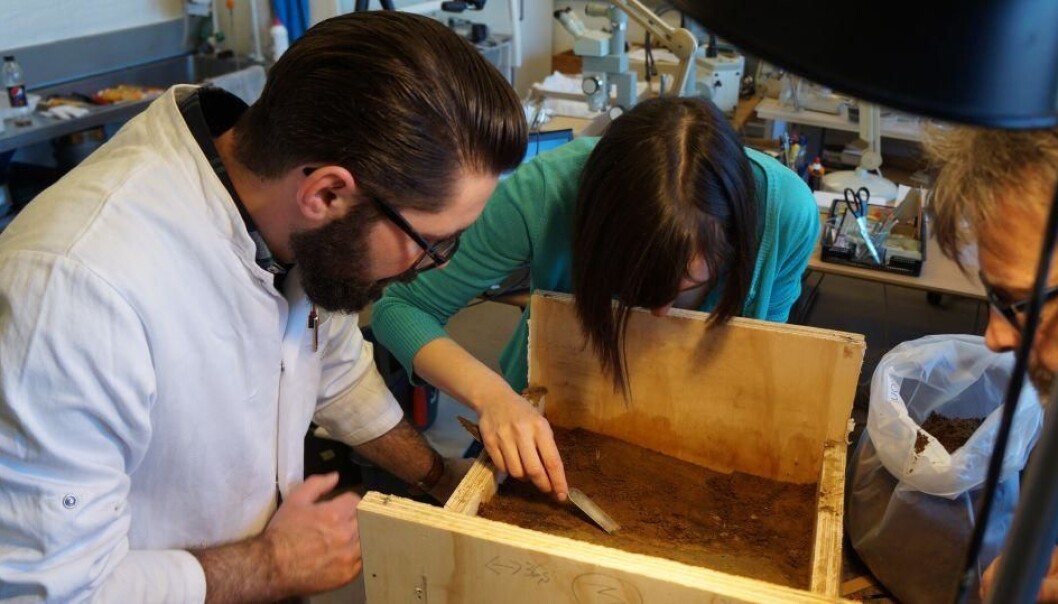 Five Massive Bronze Age Axes Unearthed In Denmark