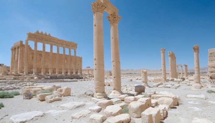 Ancient Palmyra: A story of urban resilience