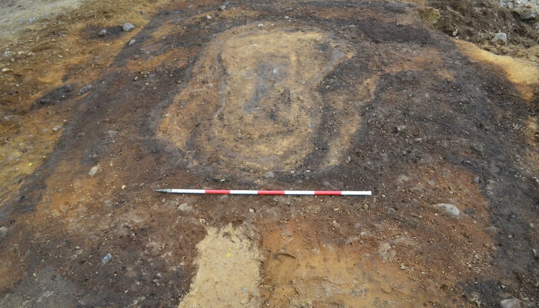 Unique Viking tomb contains remains of noble couple