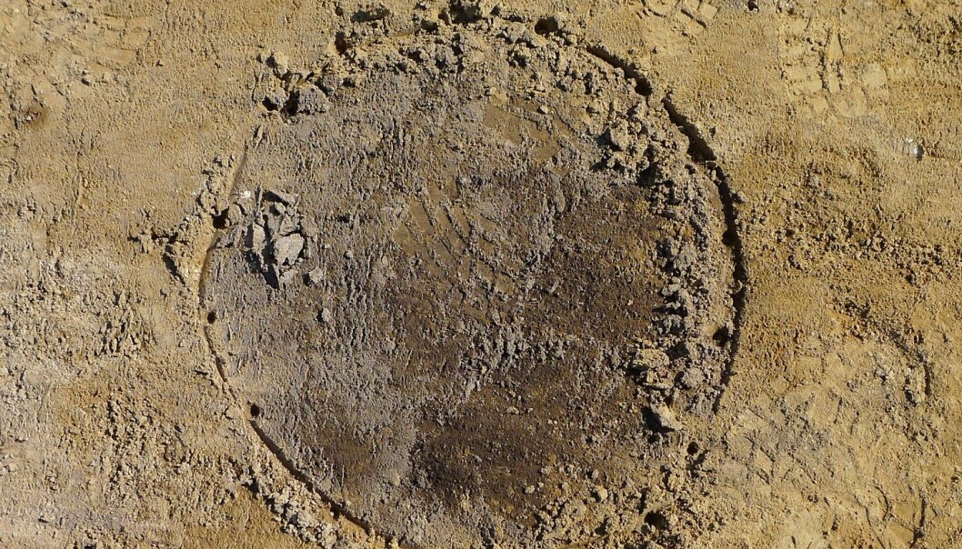 New Viking graves discovered in Denmark